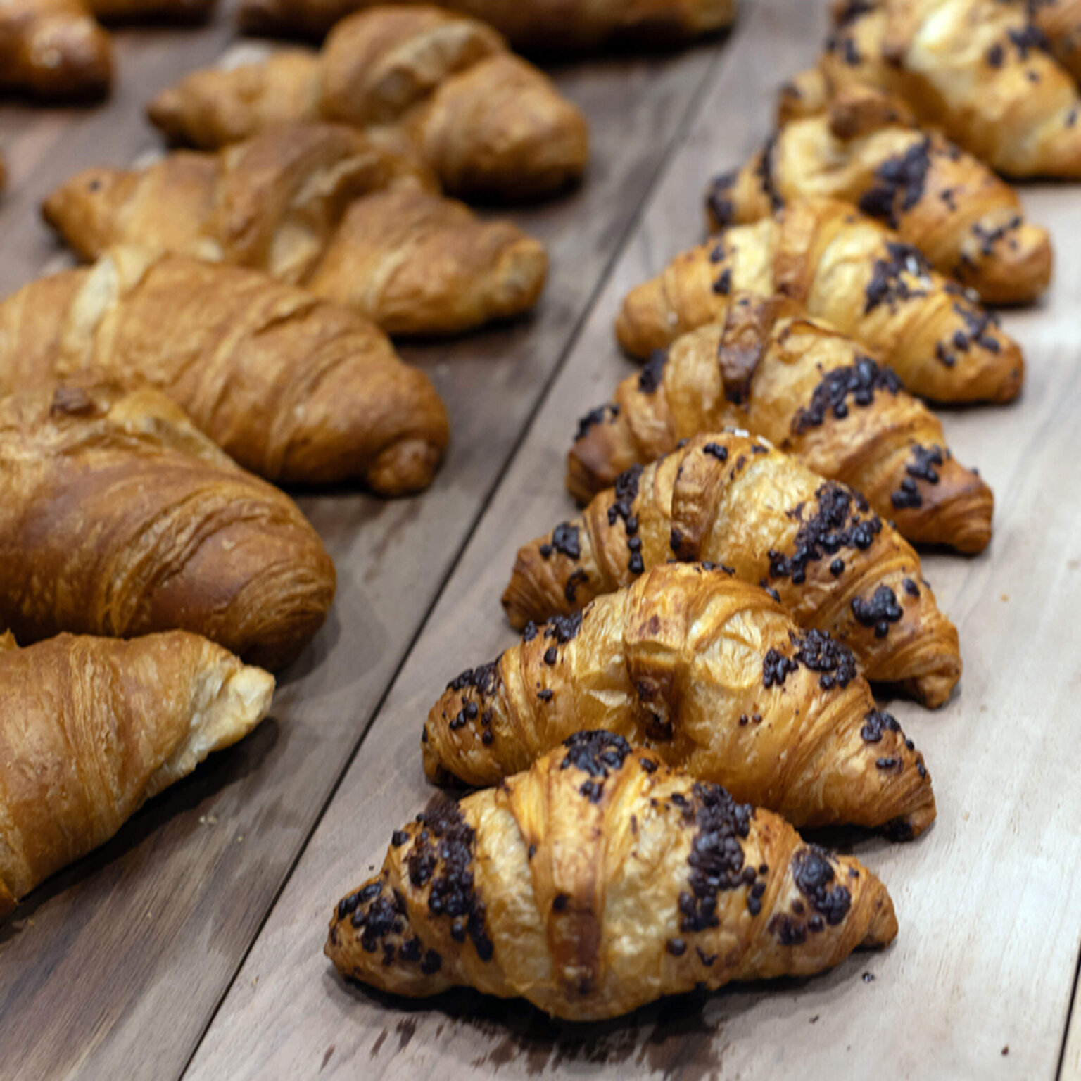 Aparthotel with restaurant & breakfast OLM Nature Escape